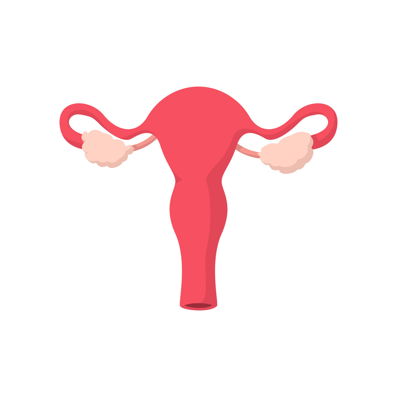 Services Brockville Obstetrics Gynecology Services Brockville Obstetrics Gynecology